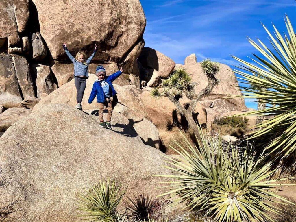 The Kid Friendliest Hikes in Joshua Tree | Raising Hikers