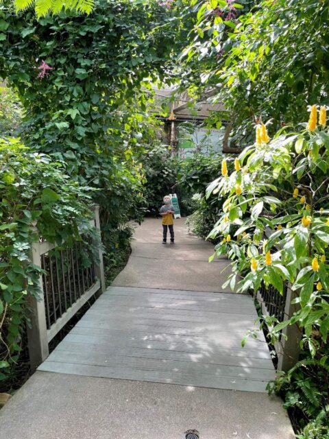 Butterfly Pavilion - Ideas for Celebrating Earth Month