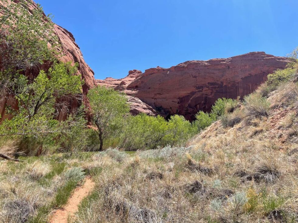 Backpacking Coyote Gulch | Raising Hikers