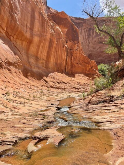 Backpacking Coyote Gulch | Raising Hikers