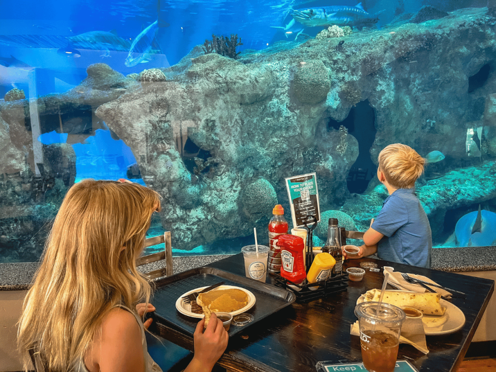 4 Day Itinerary in Albuquerque with Kids | Raising Hikers