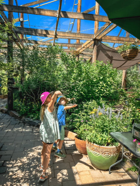 4 Day Itinerary in Albuquerque with Kids | Raising Hikers